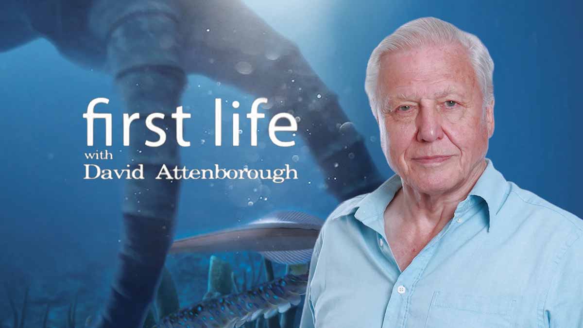 Watch "David Attenborough's First Life" here on TV Catchup Australia