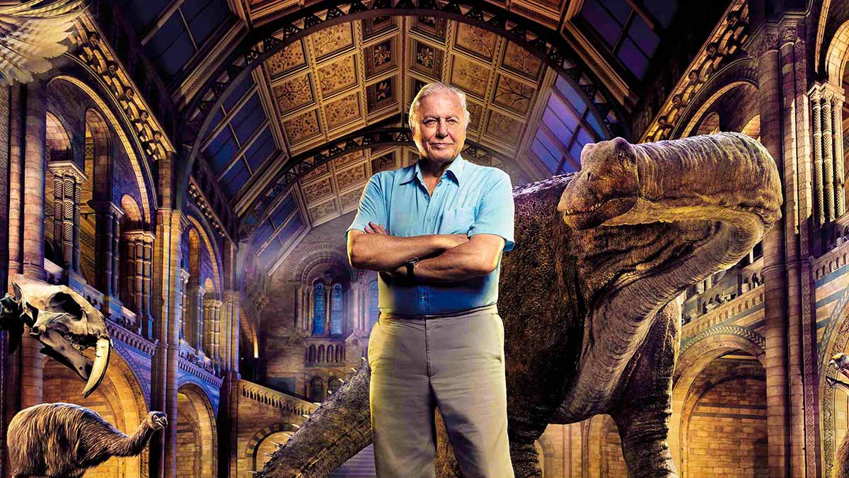 Watch "David Attenborough's Natural History Museum Alive" here on TV ...